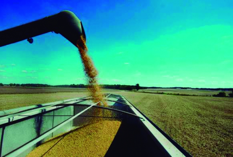 Dan por finalizada la cosecha récord de soja: 60,8 millones de ...