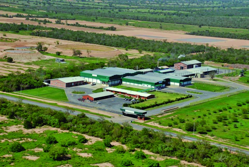 Cooperativa Chortitzer exporta al año carne por valor de US$ 180 millones
