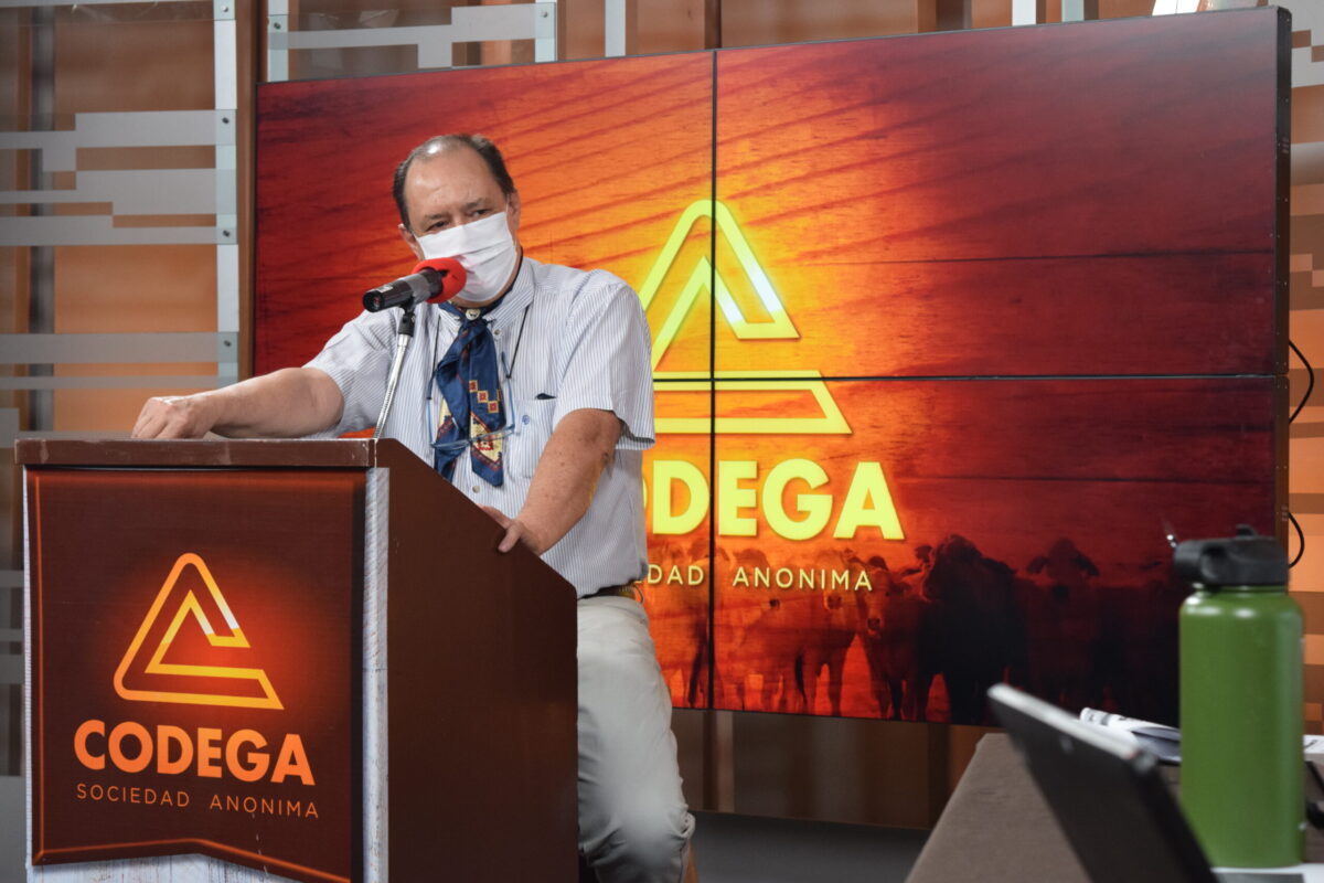 Codega remata 615 vacunos de invernada en remate de Regional Cordillera ...