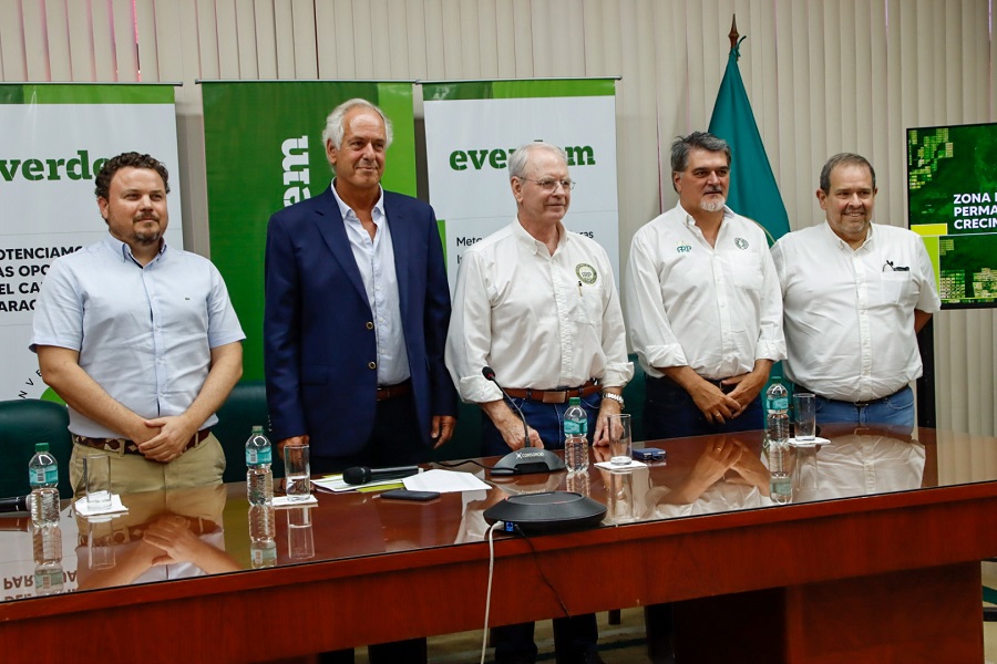 Everdem realizará la primera subasta de un campo en Paraguay, más de 24 ...