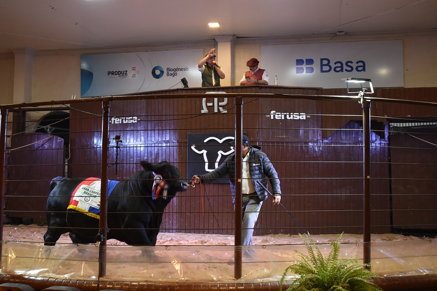 Ferusa realizó una “excelente venta” de Brangus de bozal y packs ...