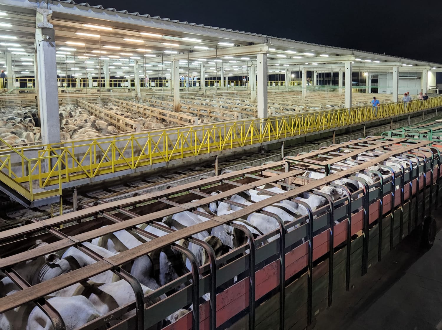 Precio del Novillo Mercosur volvió a marcar subas en la última semana