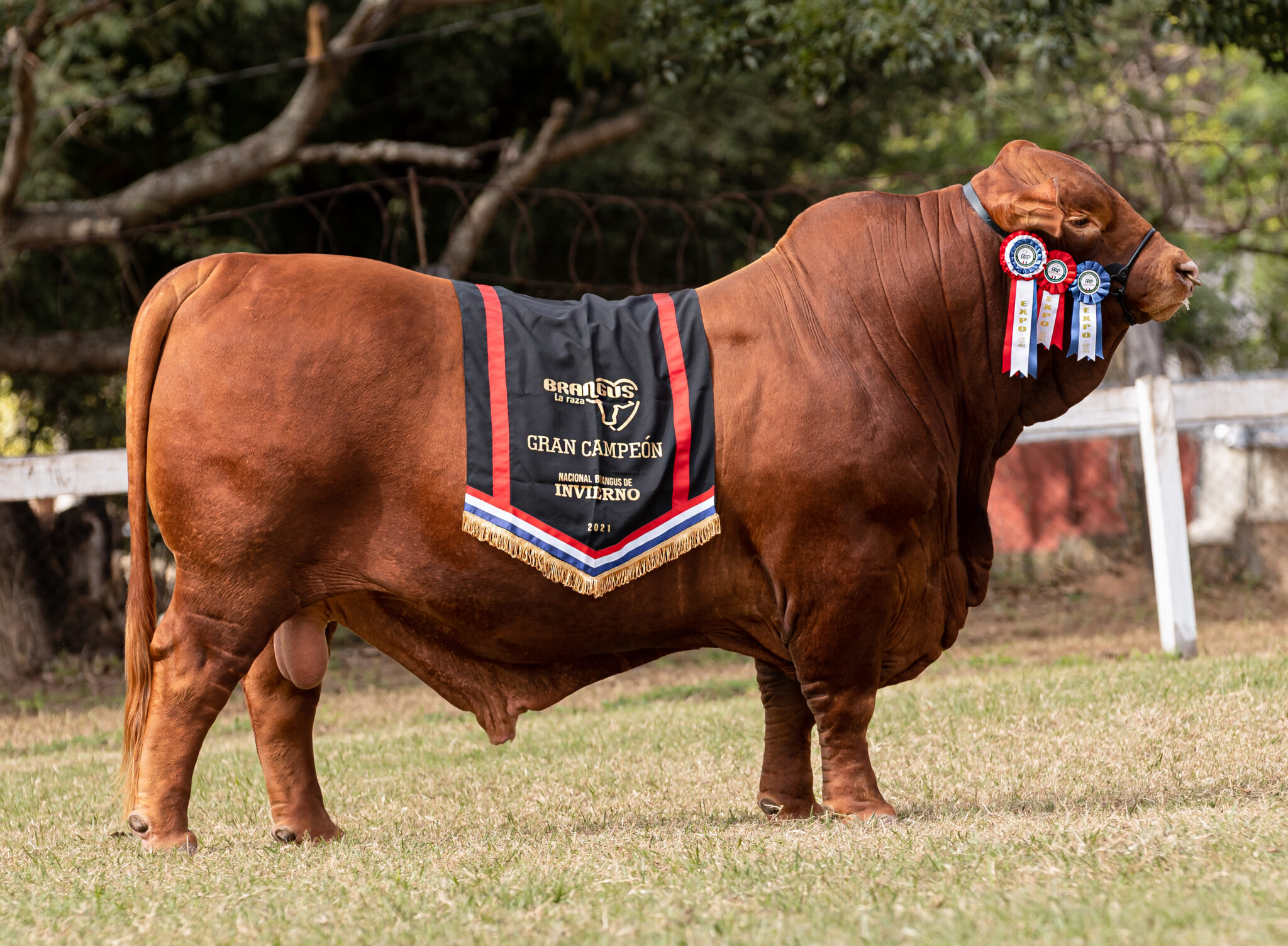 Dedicados a la comercialización de frutas y verduras, hace 5 años ...