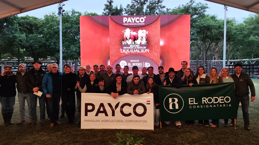 El Rodeo vendió la selección Braford de PAYCO por más de US$ 2 millones ...