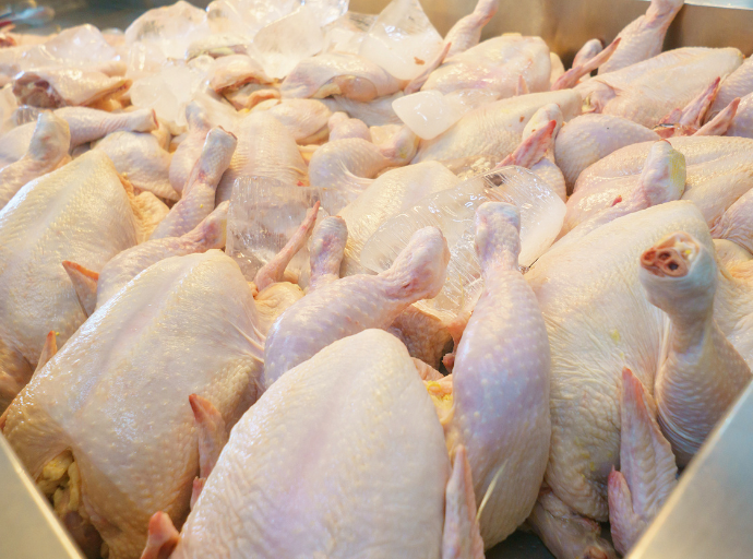 México retoma compra de pollo de Brasil, con excepción de Rio Grande do Sul