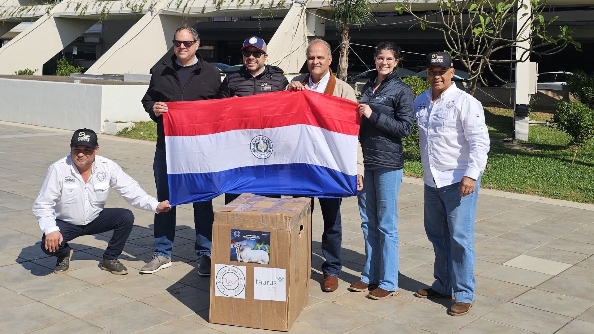 Goya S.A. concretó la exportación de 3.000 dosis de semen de la raza ...